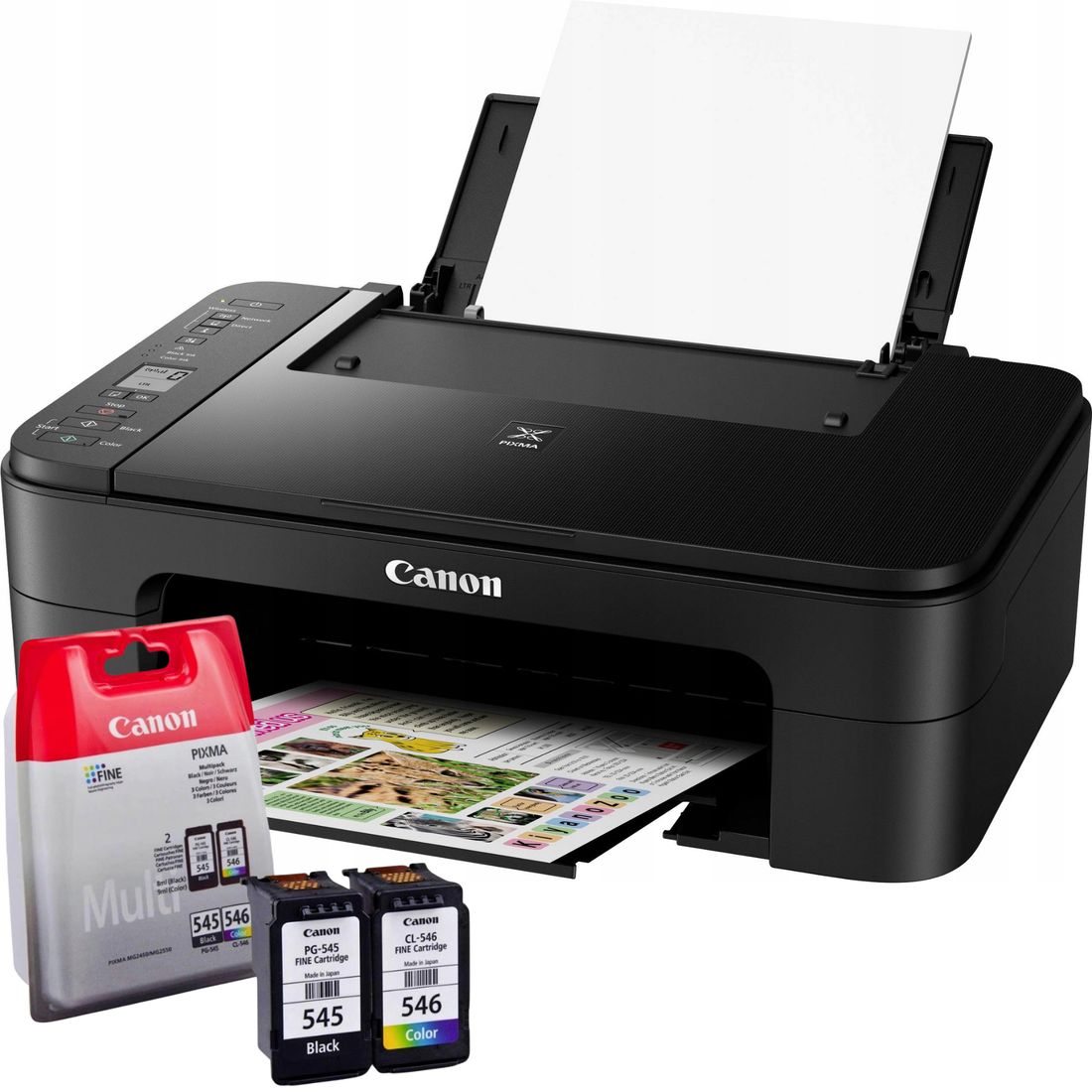 Drukarka Canon PIXMA TS3150 WiFi AirPrint - ERLI.pl