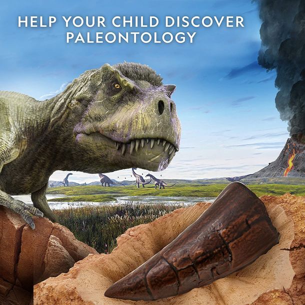 National Geographic: ZESTAW SKAMIELINY DINOZAURA Zabawka kreatywna ... National Geographic: ZESTAW SKAMIELINY DINOZAURA Zabawka kreatywna ...
