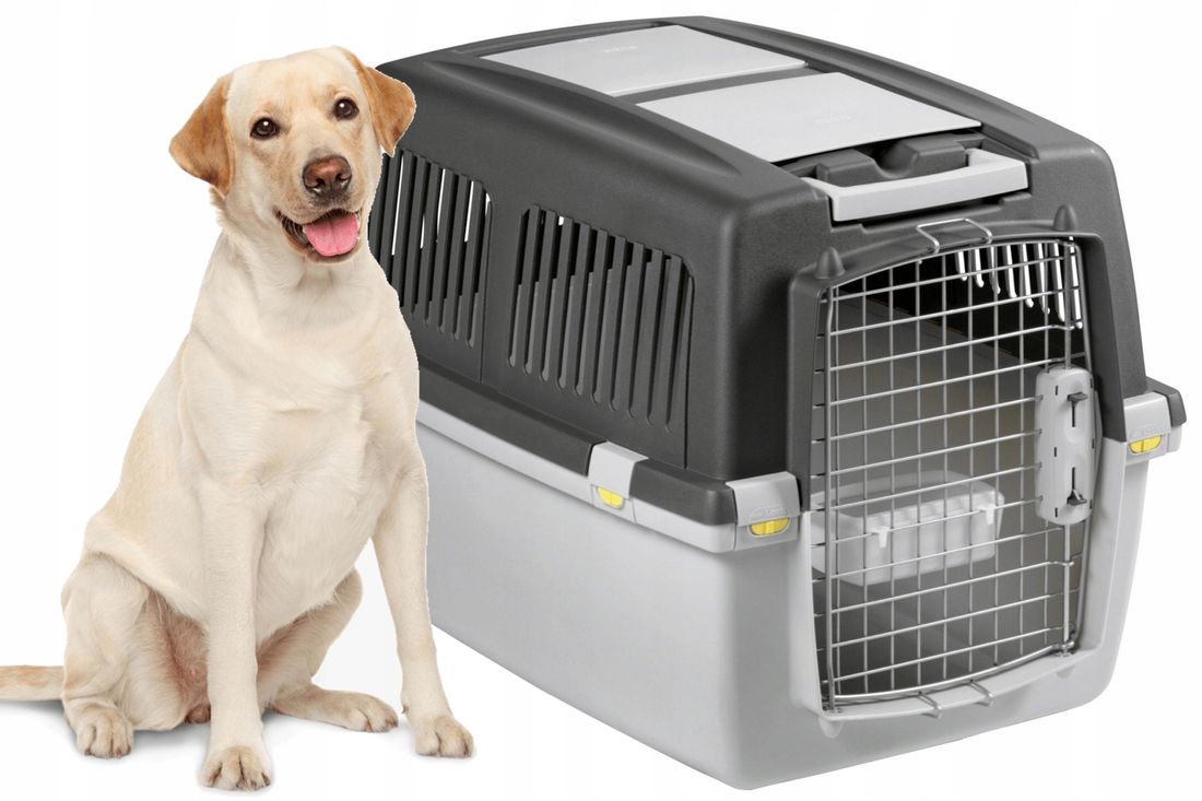 TRANSPORTER DUŻY SOLIDNY DLA PSA KOTA KLATKA KOJEC - ERLI.pl