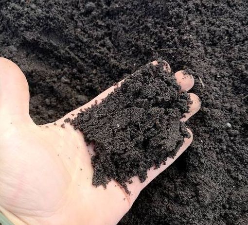 Ziemia ogrodowa naturalny czarnoziem 5l – 134718842 - ERLI.pl