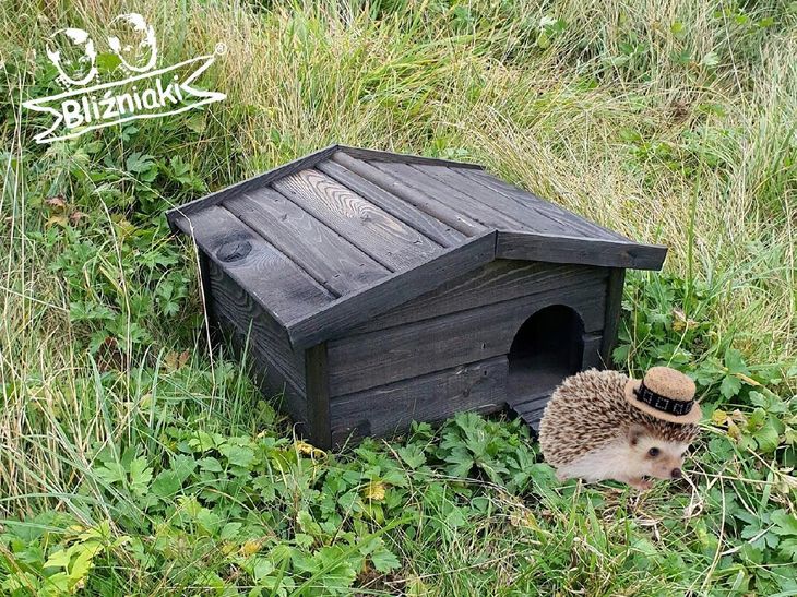 Uroczy Domek Dla Jeża W Ogrodzie Legowisko Budka Lęgowa Trwała ...