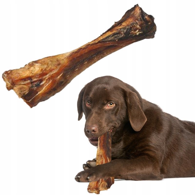STOPA WOŁOWA Naturalna Duża Kość dla Psa ok. 30 cm - ERLI.pl