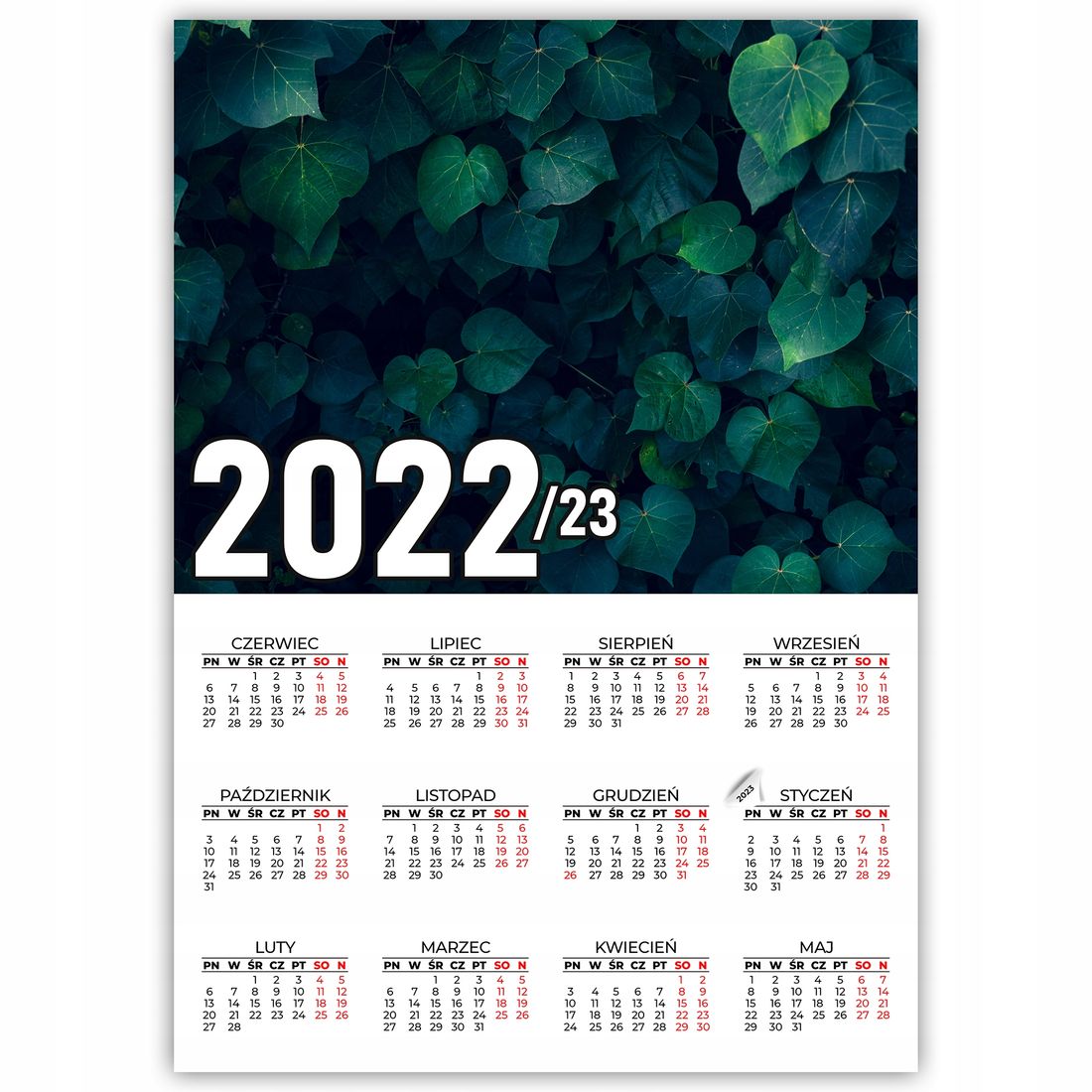 KALENDARZ Plakatowy 32x44 Wzory Przyroda 2022/2023 - ERLI.pl