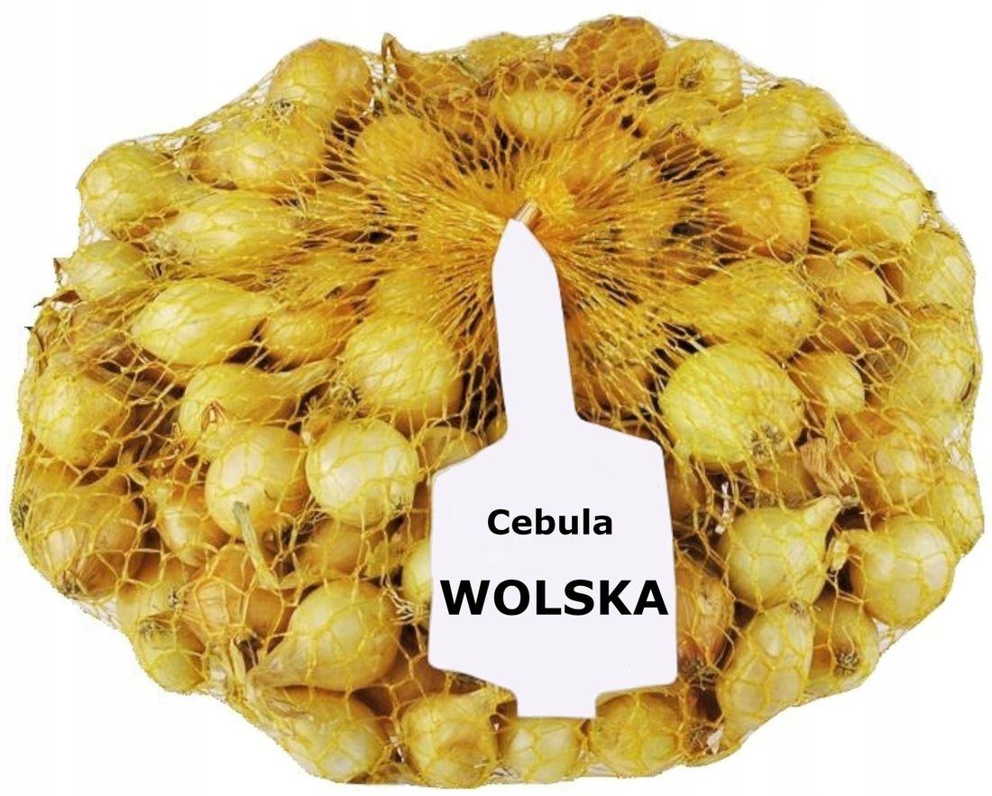 Cebula DYMKA 0,5kg 8-15mm Wolska II 500g - ERLI.pl