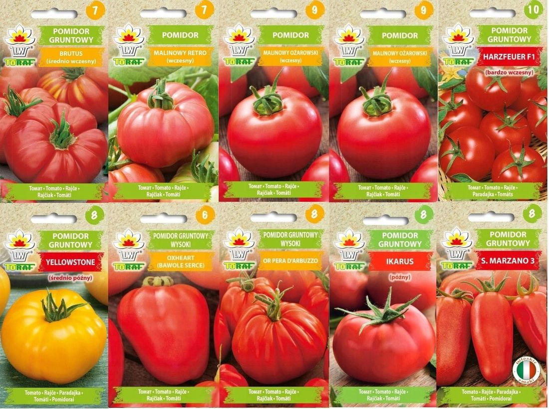 Zestaw Nasiona Pomidorów 10 odmian - ERLI.pl
