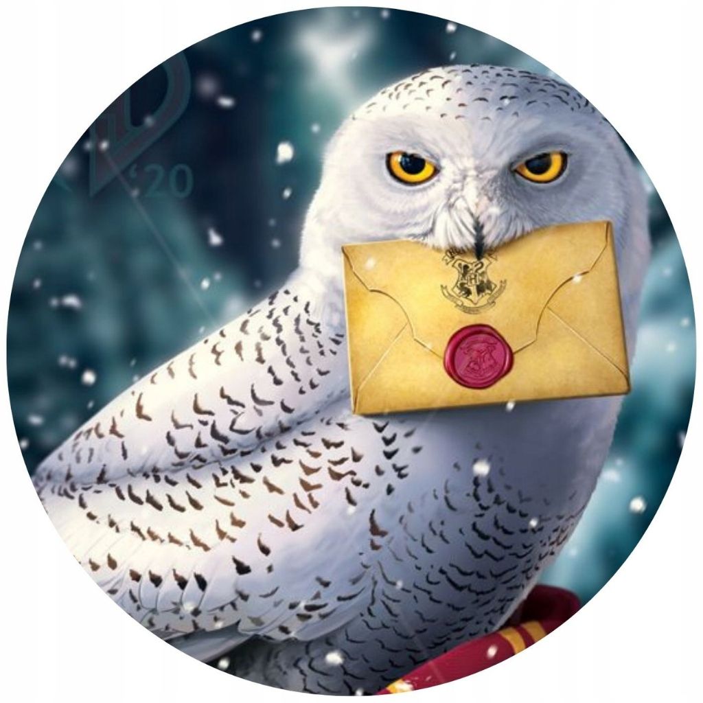 OPŁATEK NA TORT OKRĄGŁY 20 CM HARRY POTTER SOWA - ERLI.pl