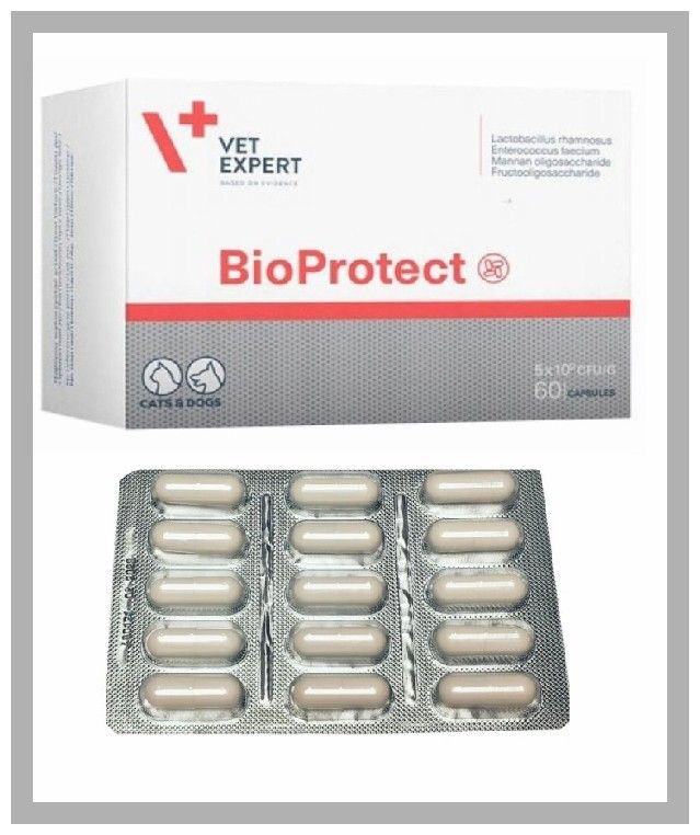 Bioprotect 15 kaps. 1 listek. Probiotyk. Dla psa, dla kota. VetExpert - ERLI.pl