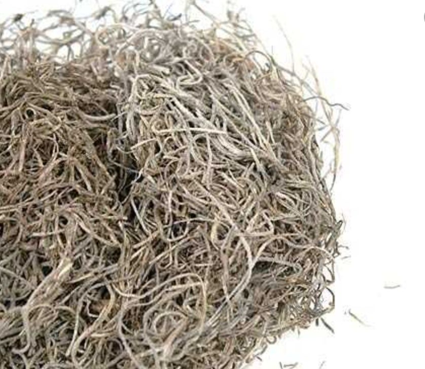 Mech Hiszpański, Suszona Tillandsia Usneoides 100G - ERLI.pl