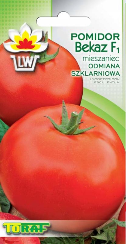 Pomidor Bekaz szklarniowy wczesny nasiona Toraf – 138921759 - ERLI.pl