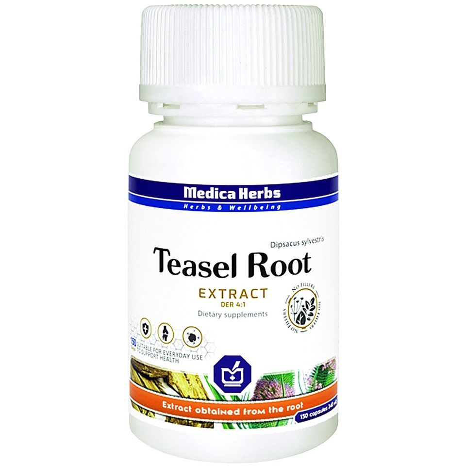 Medica Herbs SZCZEĆ POSPOLITA TEASEL ROOT EXTRACT (Dipsacus sylvestris ...