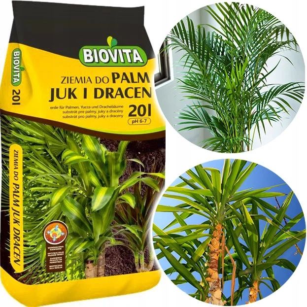 ZIEMIA PODŁOŻE DO PALM JUK I DRACEN 20L BIOVITA - ERLI.pl