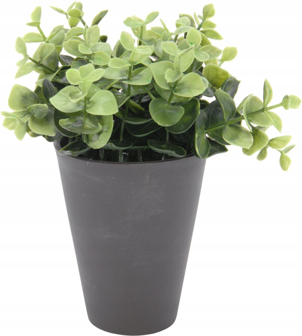 SZTUCZNA ROŚLINA DEKORACYJNA W DONICZCE 17 CM – 142011278 - ERLI.pl SZTUCZNA ROŚLINA DEKORACYJNA W DONICZCE 17 CM – 142011278 - ERLI.pl