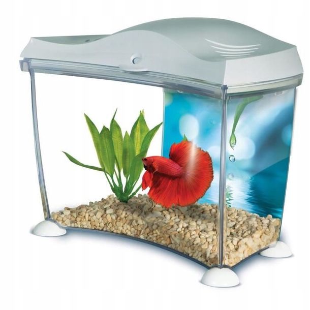AKWARIUM DLA BOJOWNIKA RYBKI MARINA BETTA KIT 6,7L - ERLI.pl