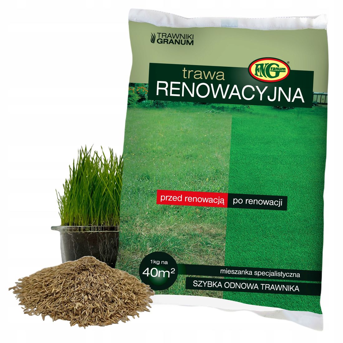 TRAWA RENOWACYJNA REGENERACYJNA DO ODNAWIANIA 1KG - ERLI.pl