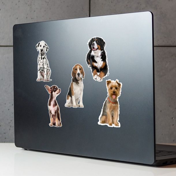 NAKLEJKI PSY PIESKI DEKORACJE POSTACIE A4 Z2 - ERLI.pl