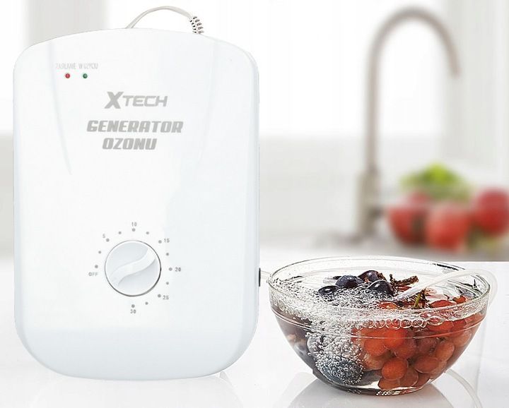 OZONATOR DO SAMOCHODU ŻYWNOŚCI GENERATOR OZONU MOC - ERLI.pl