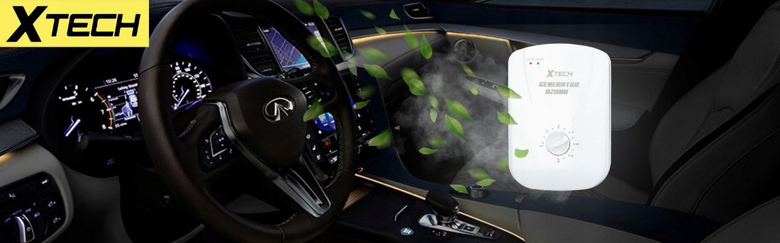 OZONATOR DO SAMOCHODU ŻYWNOŚCI GENERATOR OZONU MOC - ERLI.pl