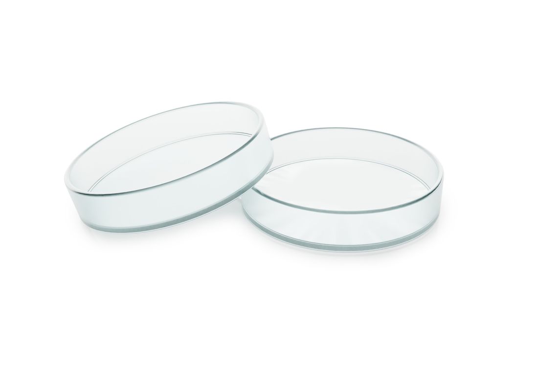 Szalka Płytka Petriego szklana ANUMBRA 60 x 12 mm - ERLI.pl