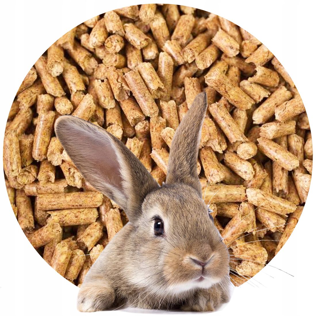 Żwirek Drewniany dla Królika Gryzoni Kota 30KG ! - ERLI.pl Żwirek Drewniany dla Królika Gryzoni Kota 30KG ! - ERLI.pl