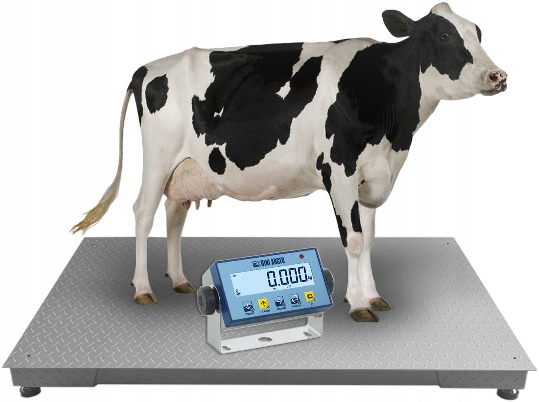 WAGA DO WAŻENIA BYDŁA 1,2x1,5m 3T LEGALIZACJA 2025 - ERLI.pl