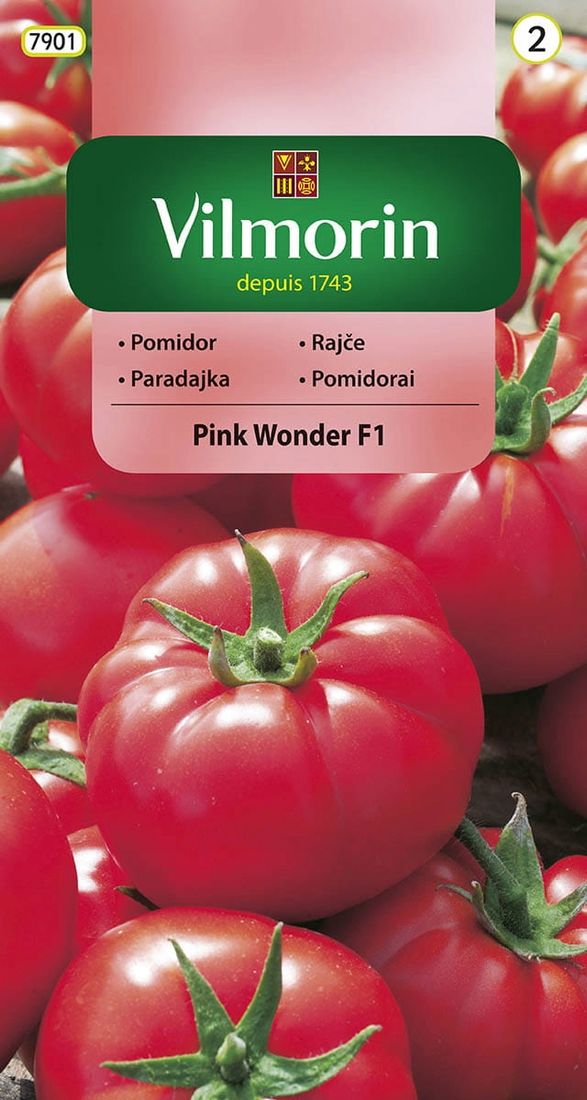 POMIDOR PINK WONDER F1 SZKLARNIOWY MALINOWY ODPORNY NASIONA VILMORIN 7SZTUK – 222622462 - ERLI.pl