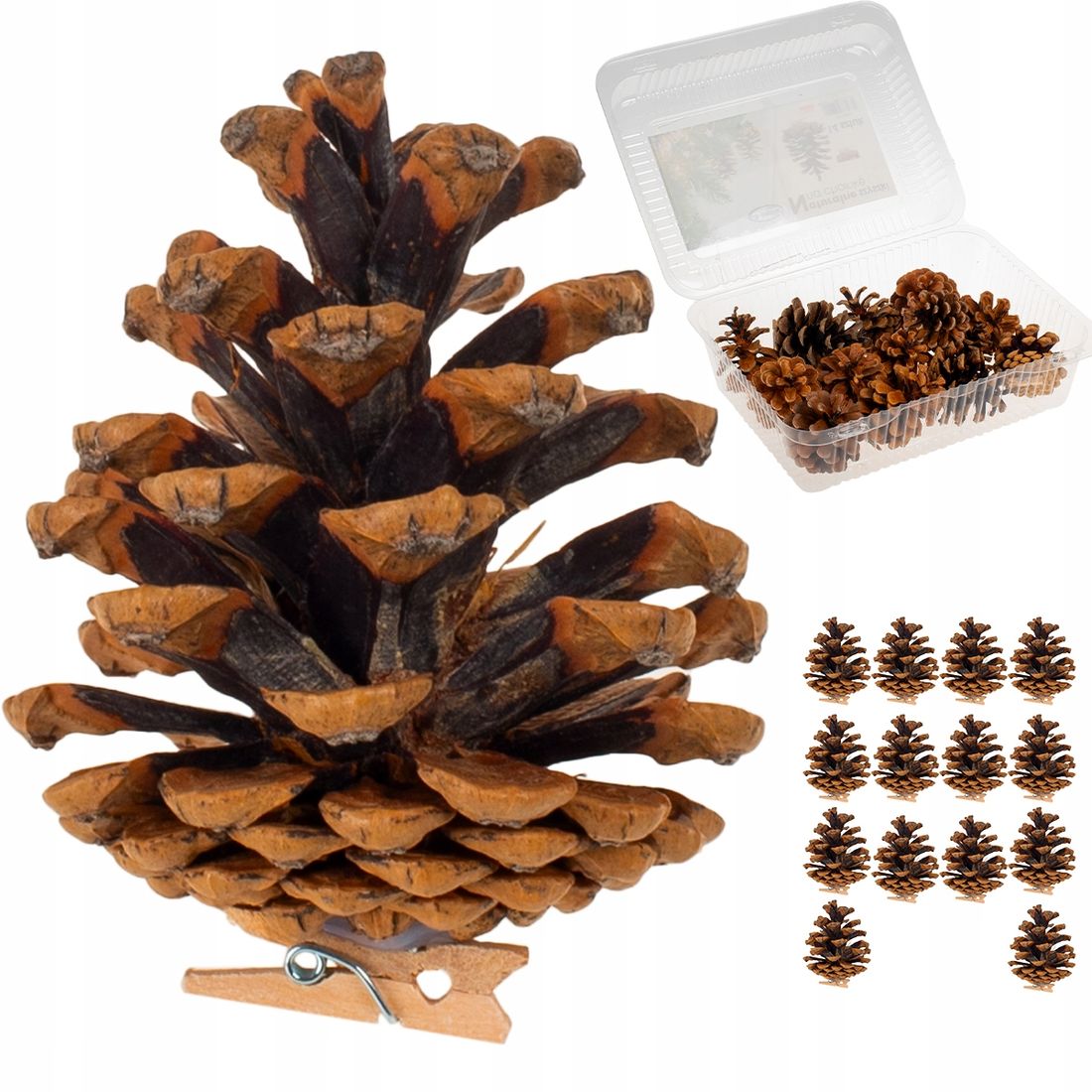 SZYSZKI SOSONOWE Z KLAMERKĄ DEKORACYJNE OZDOBY ŚWIĄTECZNE DO STROIKA 14 SZT – 165482739 - ERLI.pl