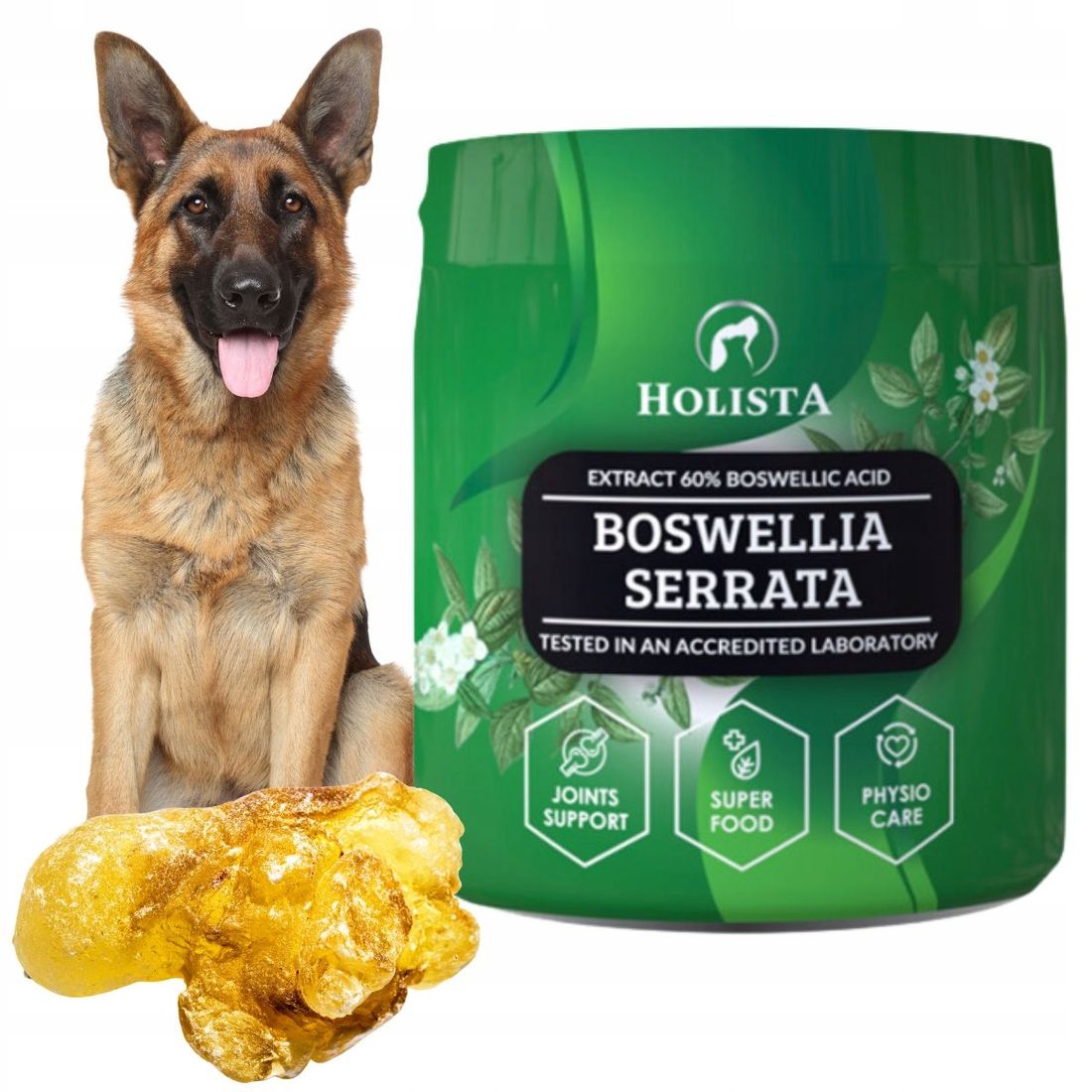 Holista BOSWELLIA SERATTA dla psa i kota na stawy i choroby ...