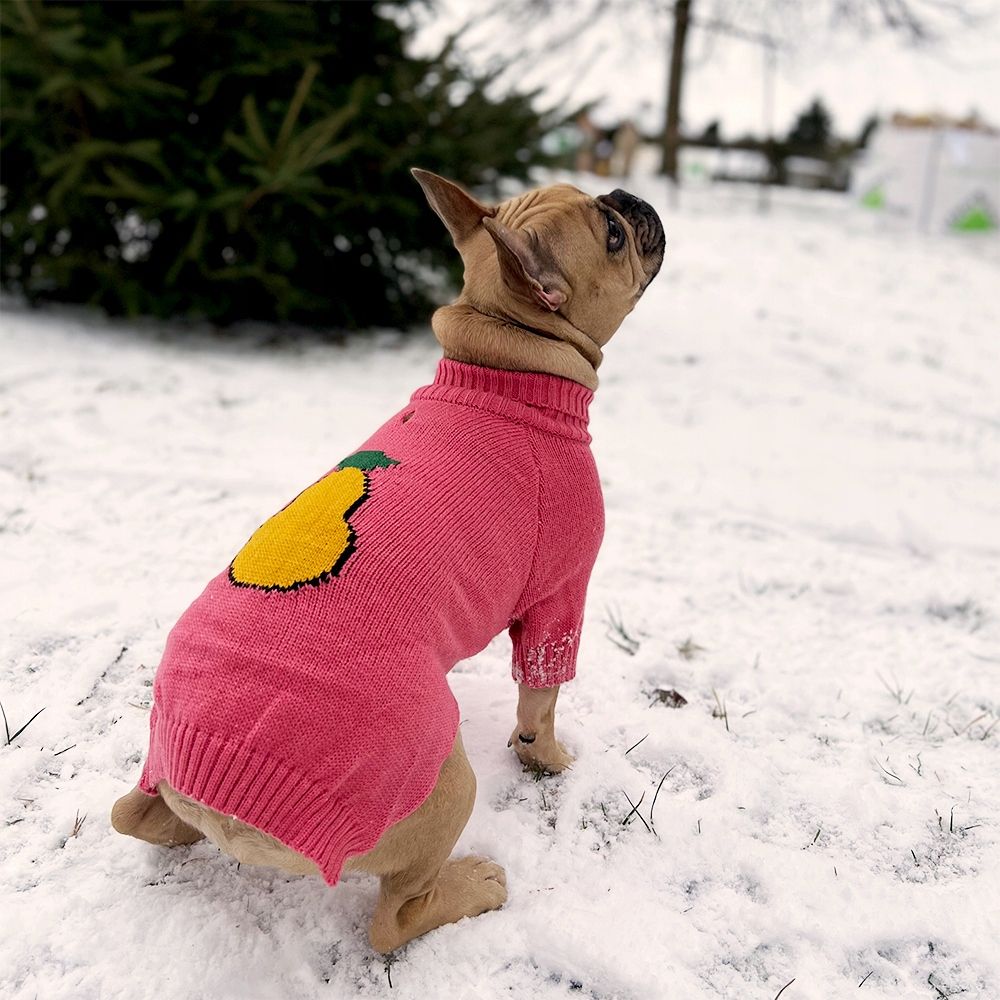 Kultowy sweter dla psa GRUCHA XL xl – 168728600 - ERLI.pl