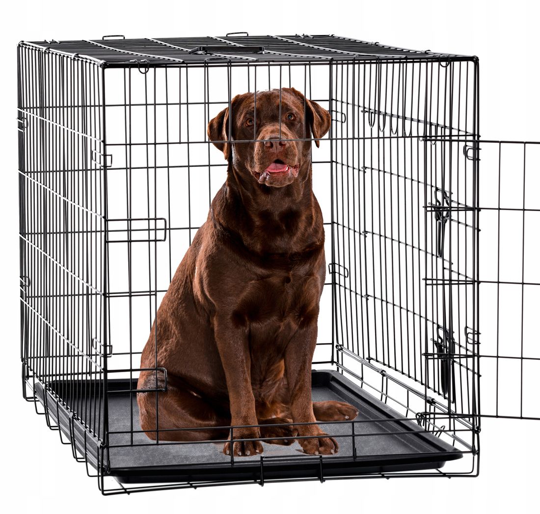 KLATKA KENNELOWA KOJEC TRANSPORTER DLA PSA KOTA 121x74x80,5cm XXXL METALOWA - ERLI.pl