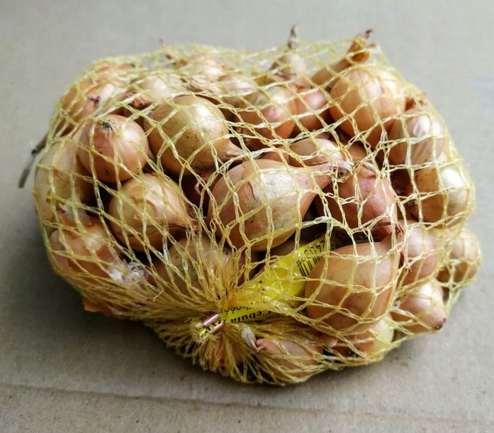 CEBULA DYMKA Sturon 250g NAJLEPSZA JAKOŚĆ plenna aromatyczna cebulki ...