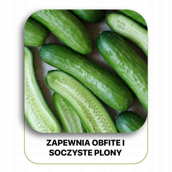 Szklarnia Tunel Uniwersalny Mrozoodporny agrofibrowy - Mega Garden 10m ...