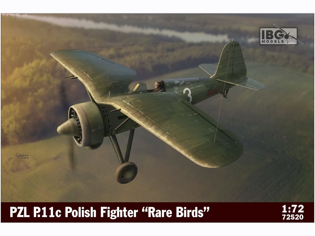 Samolot PZL P.11c Rare Birds model 72520 IBG Models - ERLI.pl