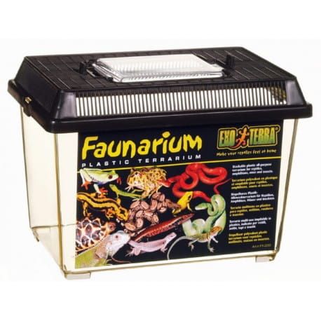 Faunarium terrarium dla pająka 30x19,5x19,5cm EXO-TERRA – 184494319 ...
