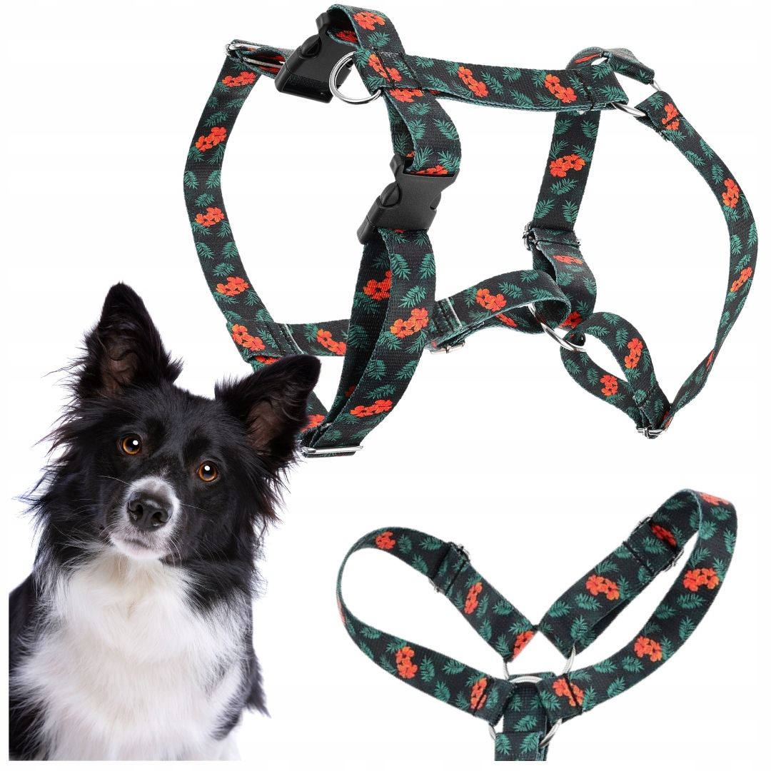 SZELKI DLA PSA GUARDY REGULOWANE KWIATY L 25MM BORDER COLIE BULDOG ...