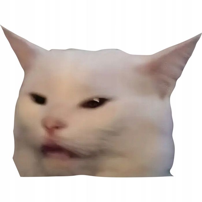 Kolorowa NAKLEJKA Grafika na Samochód Patrzący Kot Kotek MEM Memy ...