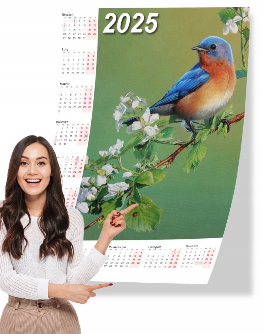 KALENDARZ PLAKATOWY A2 PTAKI 18 2025 ELEGANCKI NA PREZENT – 215969737 - ERLI.pl