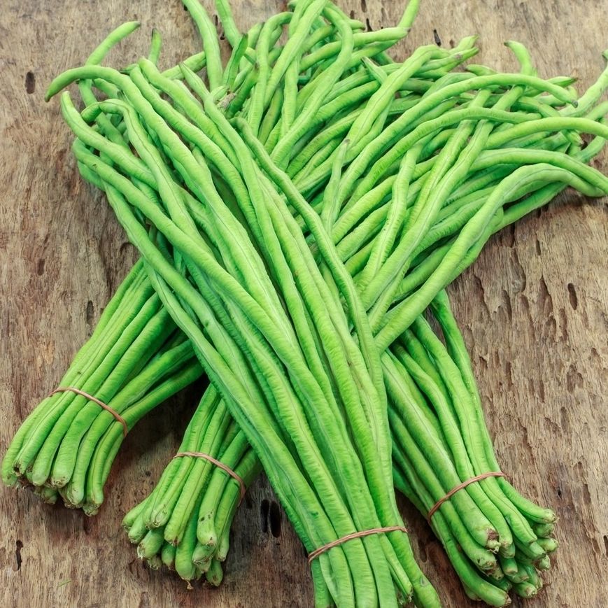 Fasolnik Chiński Wegetariańskie spaghetti (Vigna sinensis) 30 nasion ...