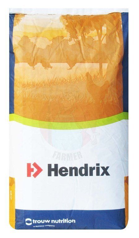 Hendrix Protamix Poultry 25 kg - ERLI.pl