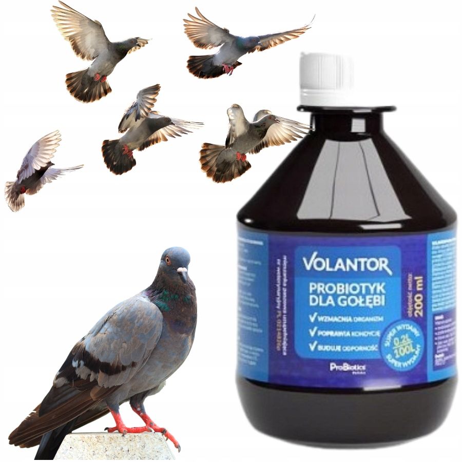 VOLANTOR - Probiotyk dla gołębi - 200 ml Probiotics – 253535727 - ERLI.pl