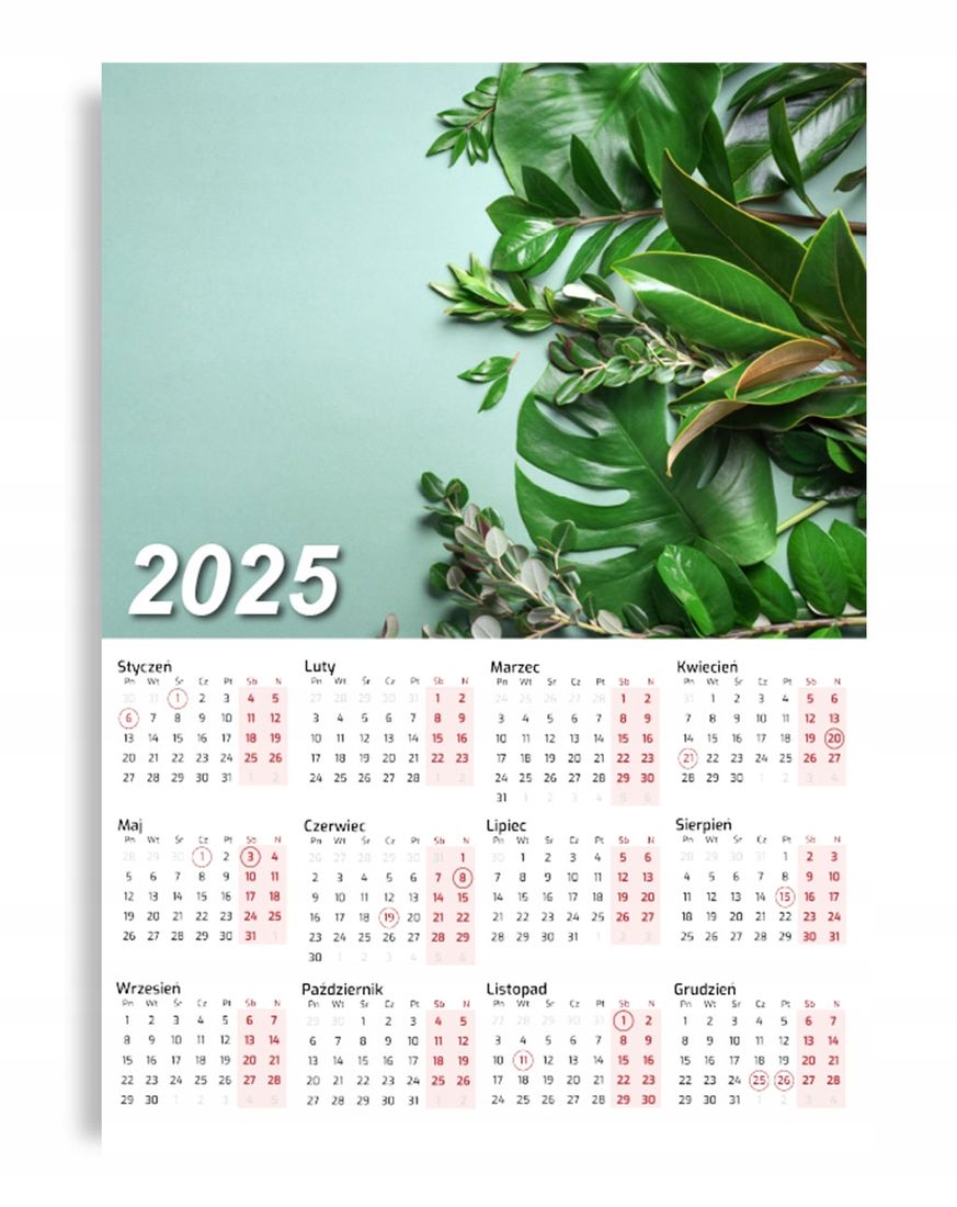 KALENDARZ JEDNOPLANSZOWY PLAKATOWY A3 ROŚLINY 10 2025 ELEGANCKI – 234939571 - ERLI.pl