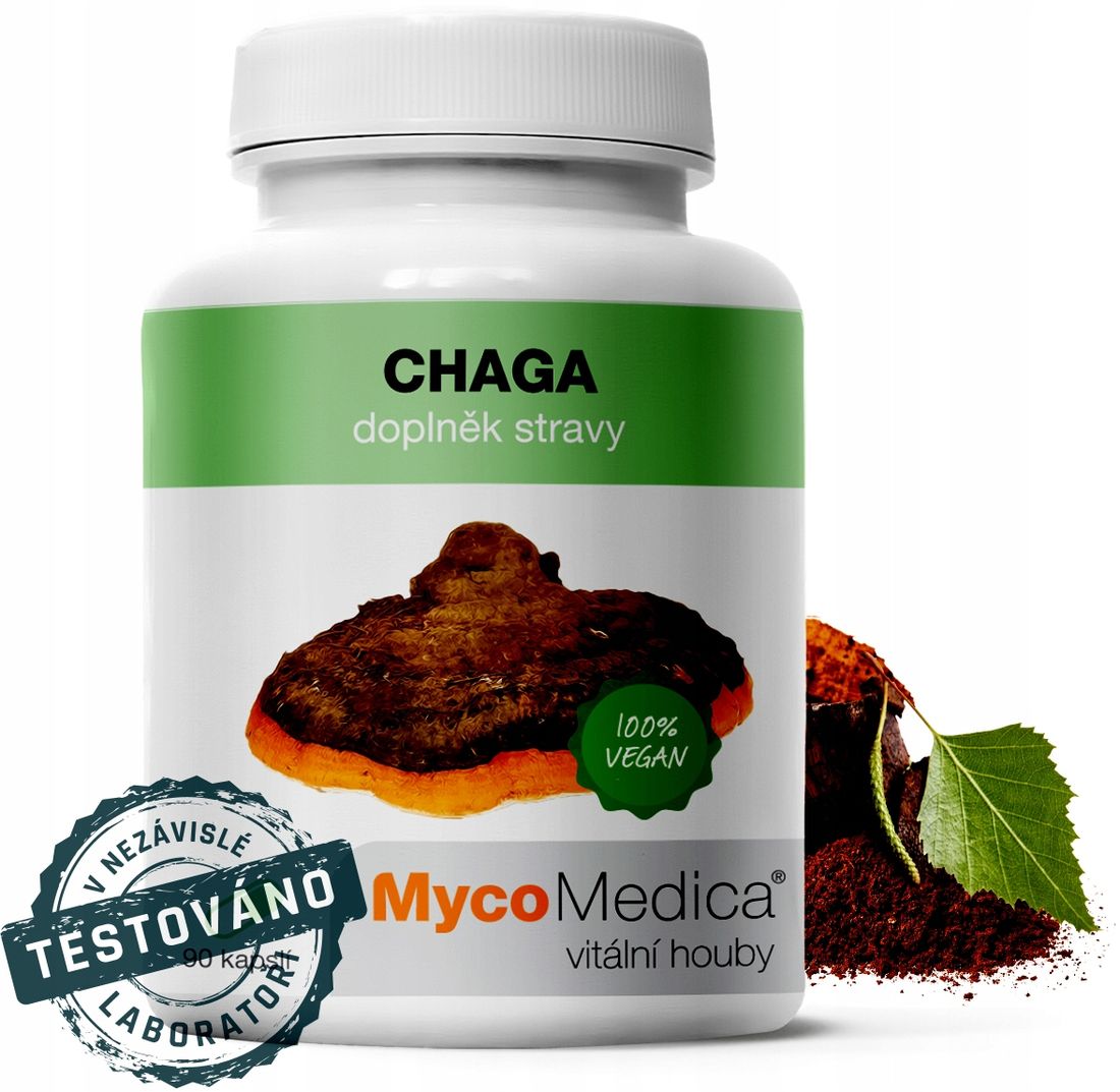 CHAGA GRZYB MycoMedica HUBA BŁYSKOPOREK PODKOROWY Guz Brzozy 90 ...