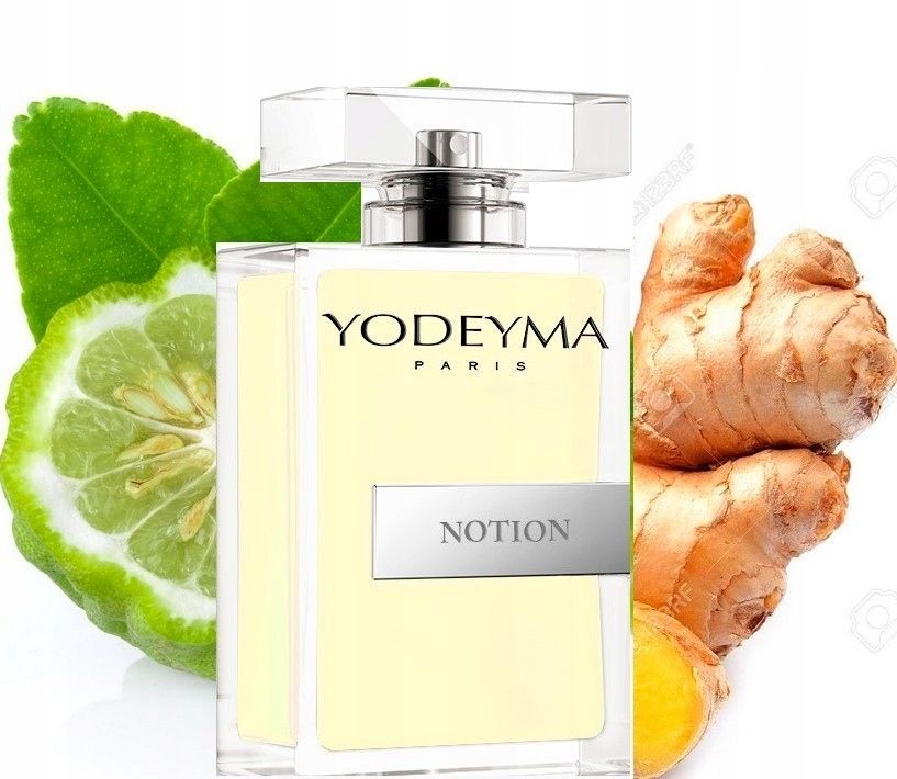 NOTION Perfumy męskie YODEYMA 100ml – 255988445 - ERLI.pl